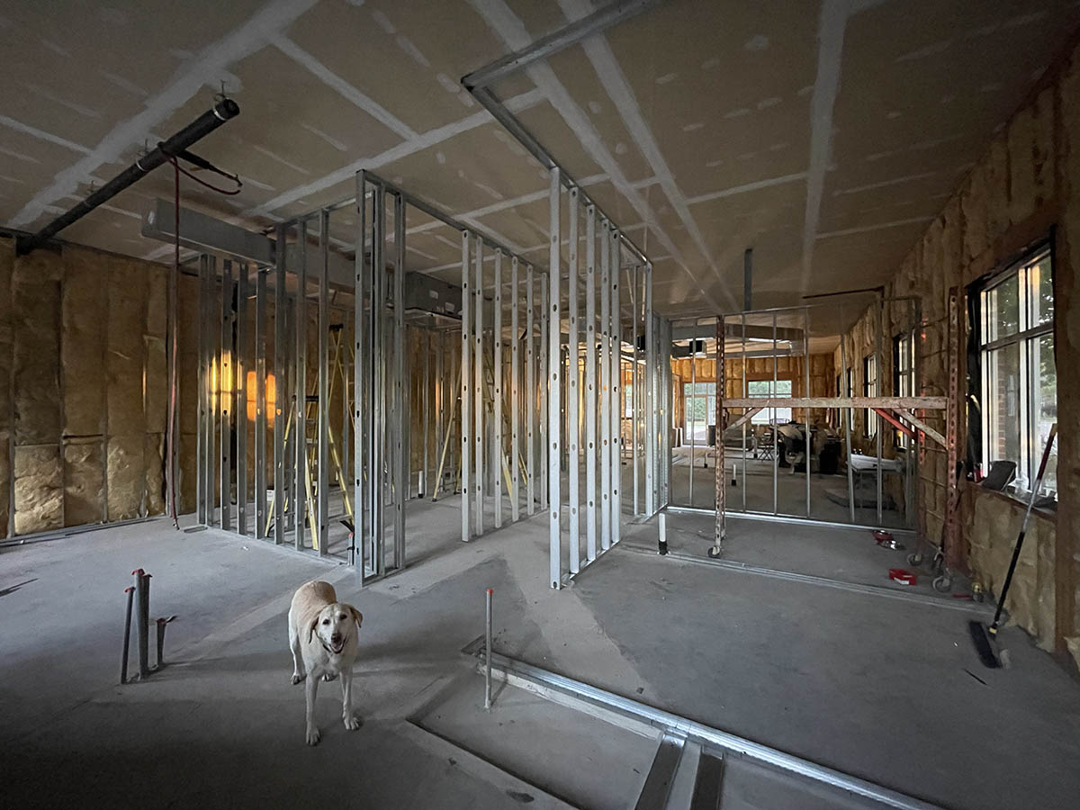 Best Vet Hospital In Raleigh, NC | Wakefield Veterinary